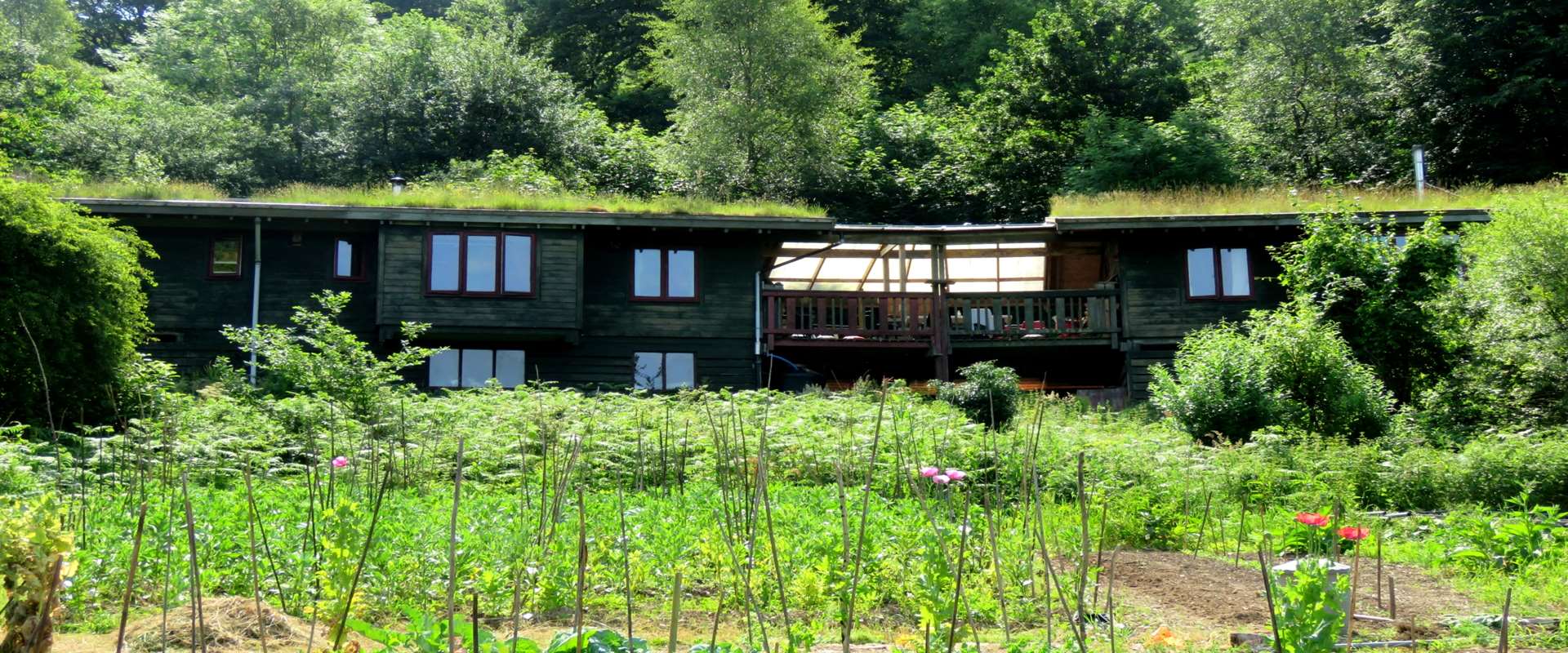 Residential Centre for Alternative Technology Wales | UK School Trips